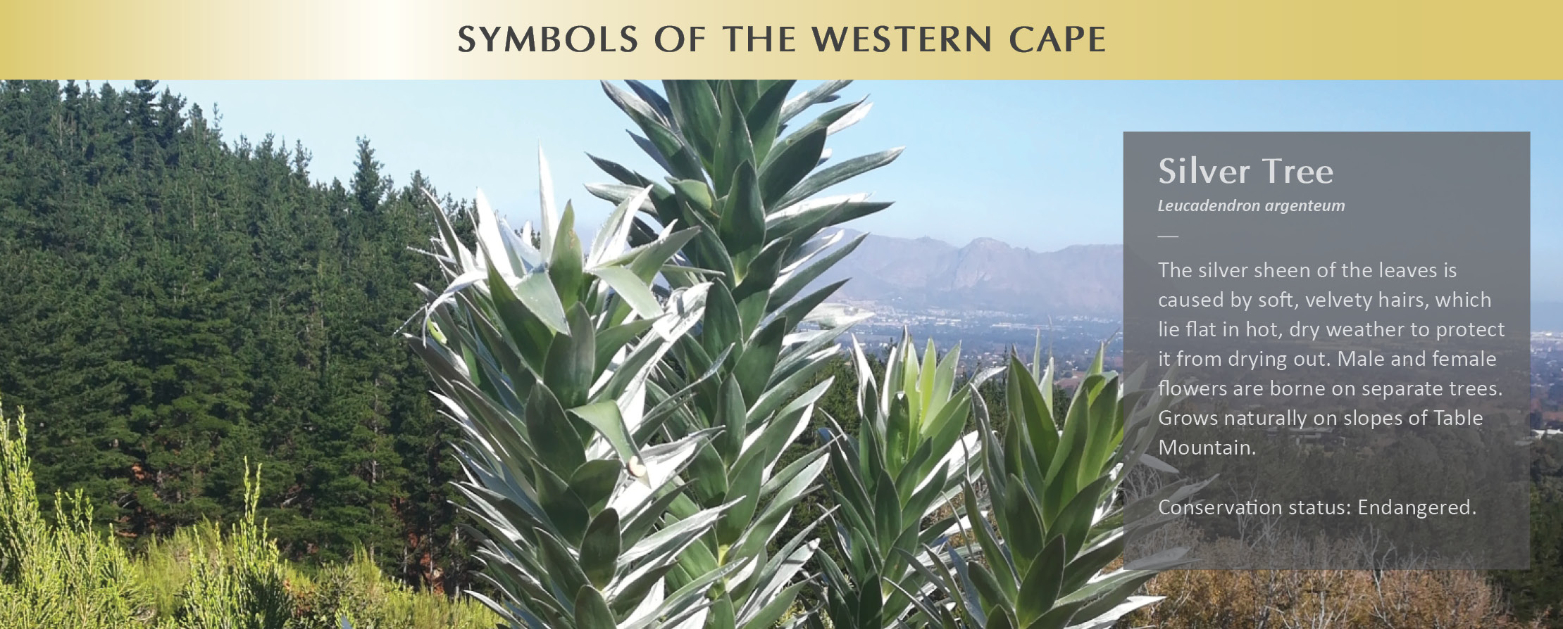 wcpp | Welcome to wcpp